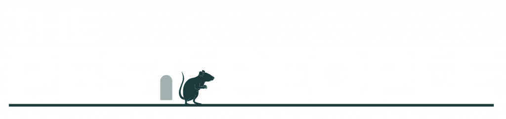 Pest control Cheltenham - The Pest People