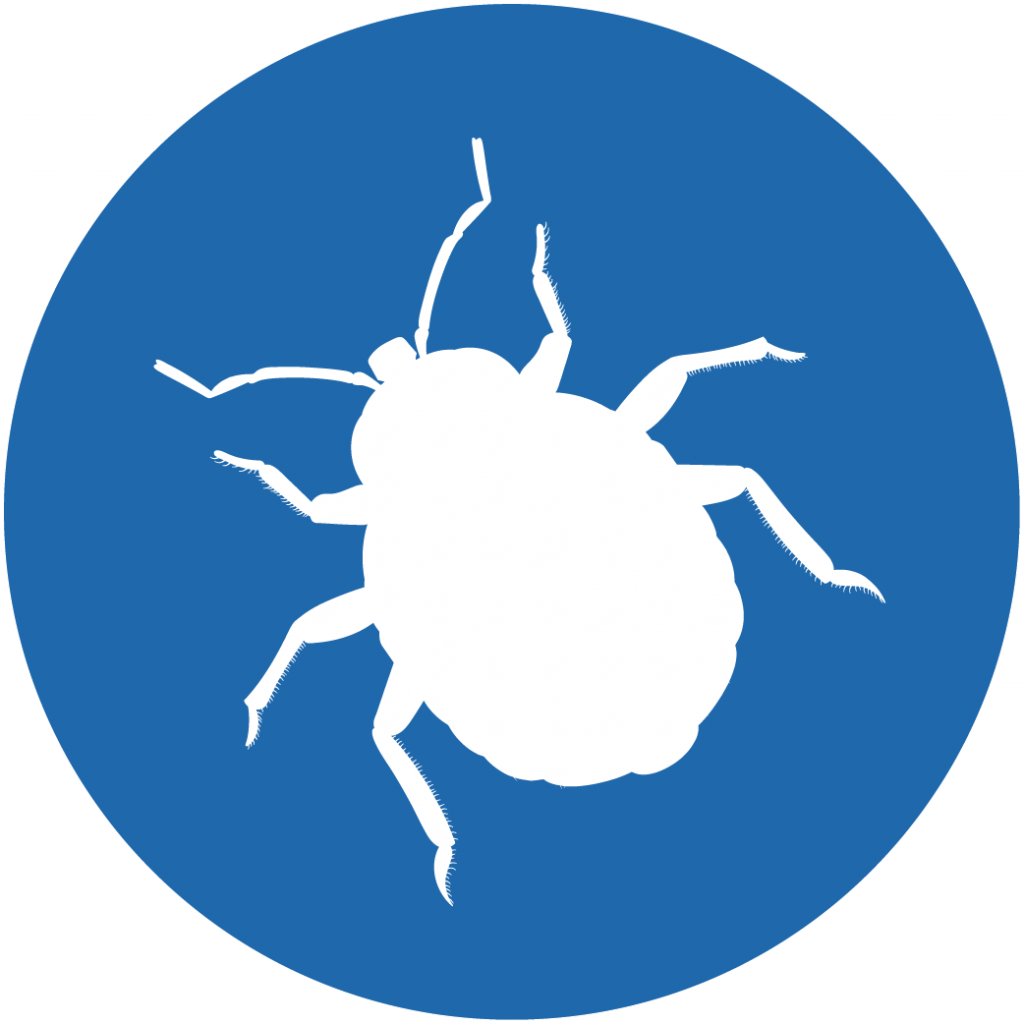 Pest control service - Cheltenham - The Pest People