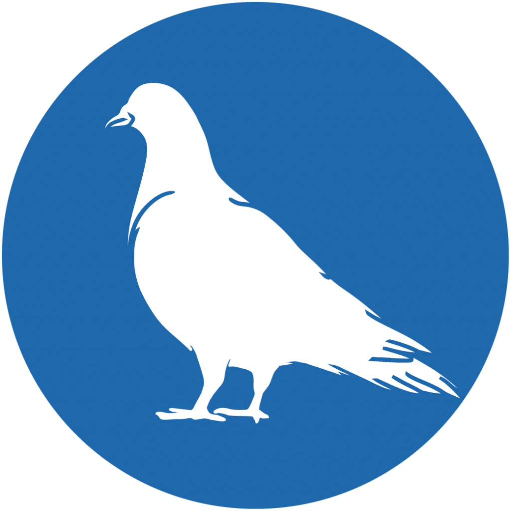 Pest control service - Cheltenham - The Pest People