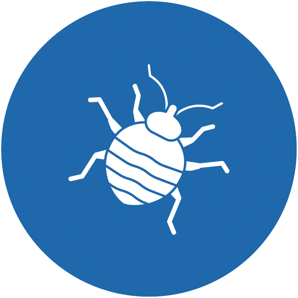 Pest control service - Cheltenham - The Pest People