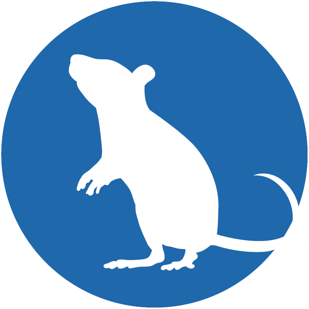 Pest control service - Cheltenham - The Pest People
