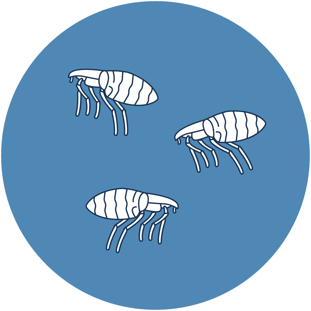 Contact us - The Pest People